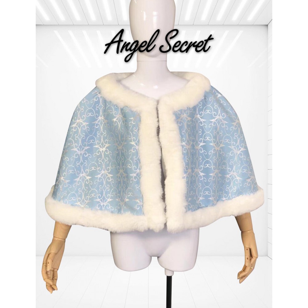 P259 Cinderella park version costume princess blue gown SILVER slipper ...
